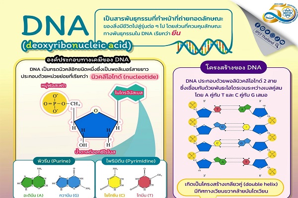 วันดีเอ็นเอโลก (World DNA Day) – สถาบันส่งเสริมการสอนวิทยาศาสตร์และ ...