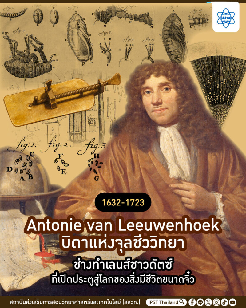 Antonie van Leeuwenhoek บิดาแห่งจุลชีววิทยา ช่างทำเลนส์ชาวดัตช์ที่เปิด ...